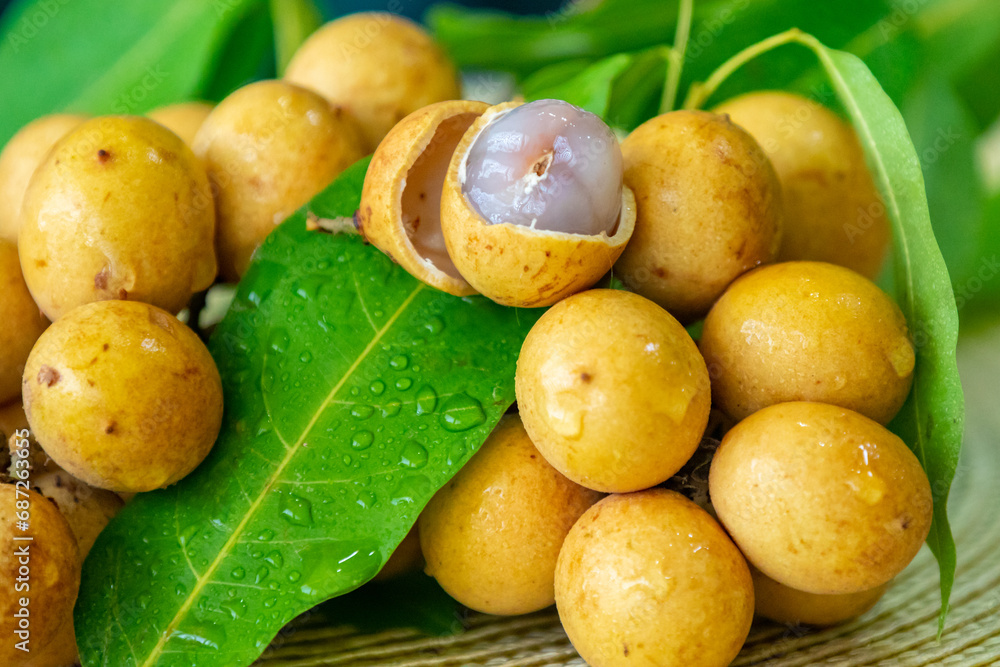 Ripe Pitomba fruits (talisia esculenta), an exotic fruit from the ...