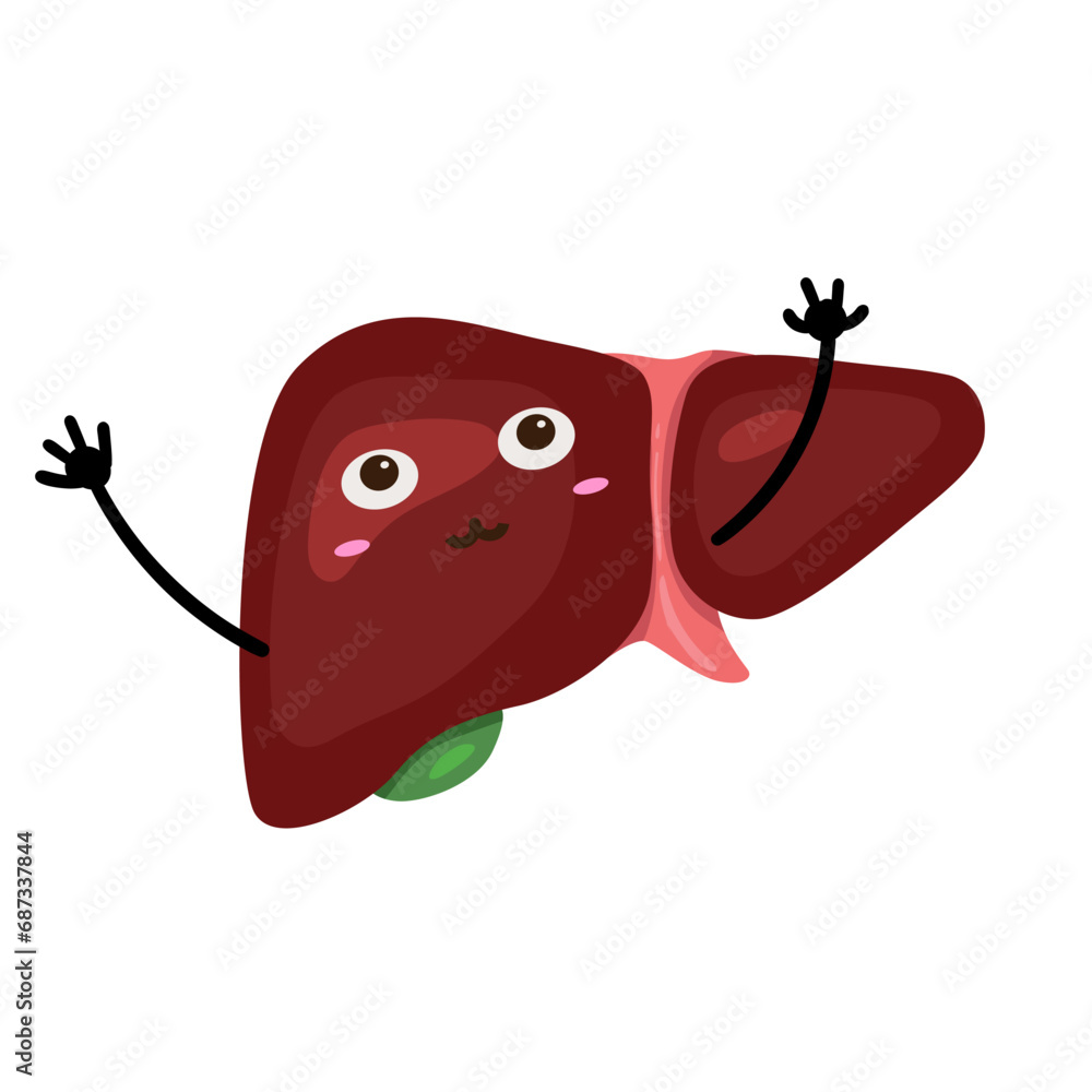 cute kawaii liver human internal organ for healthcare medical ...