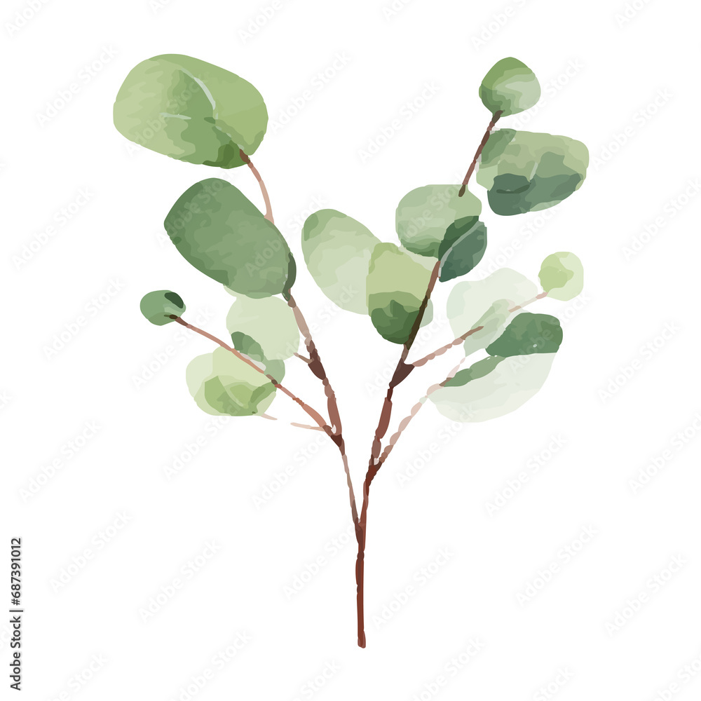 Watercolor Eucalyptus clipart, Eucalyptus leaves, Eucalyptus branches ...