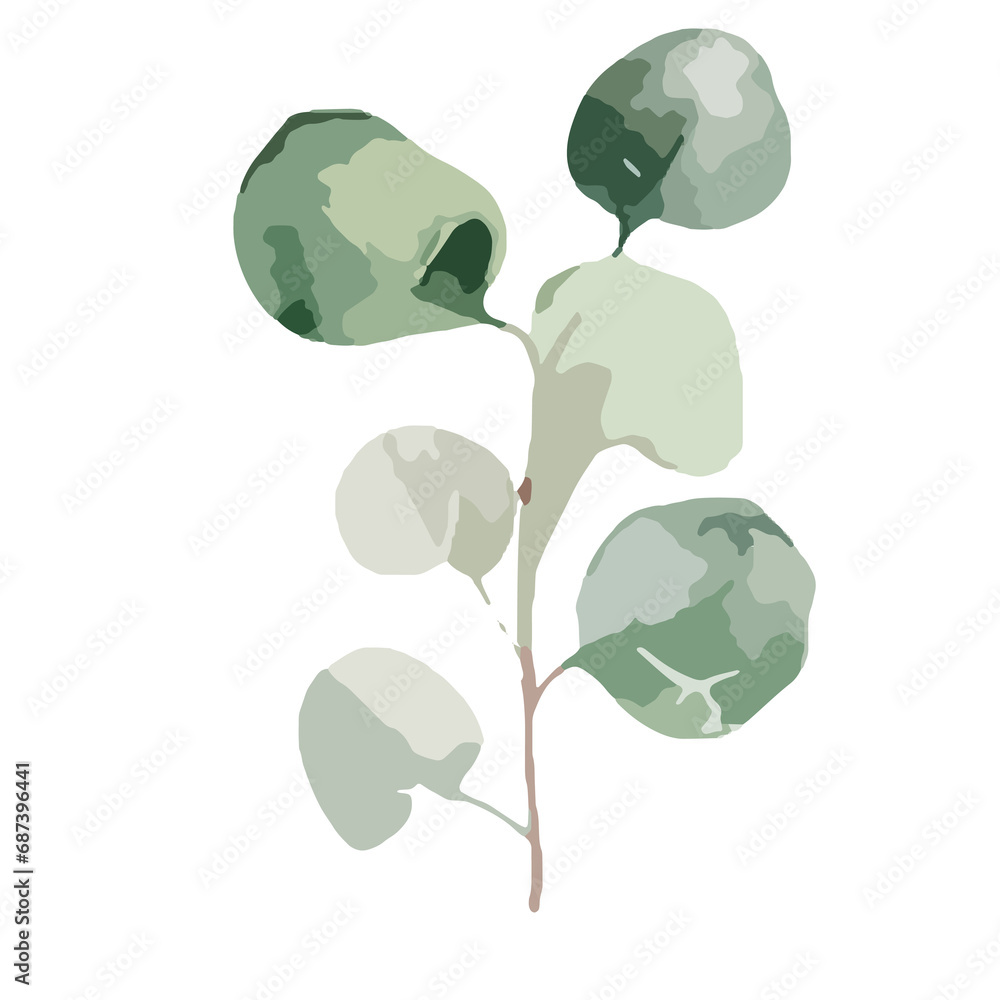 Watercolor Eucalyptus clipart, Eucalyptus leaves, Eucalyptus branches ...