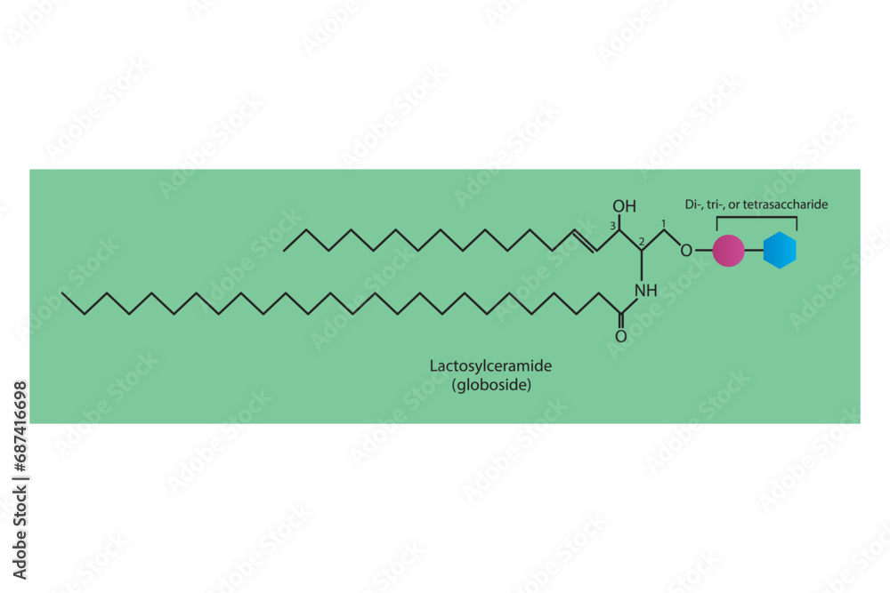 Diagram showing schematic molecular structure of Lacosylceramide ...