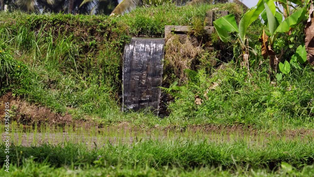Flat stream of water run down from small dam, complicated irrigation ...