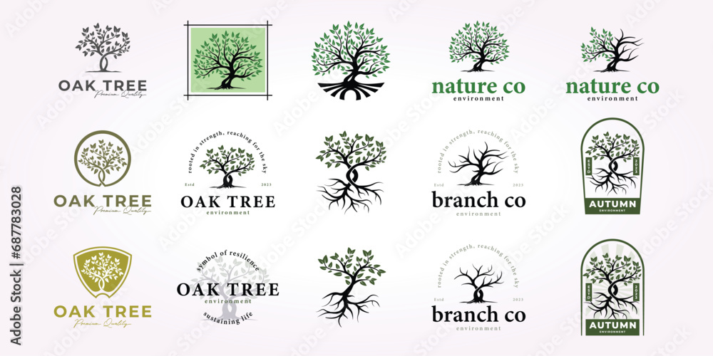 oak tree logo design bundle, nature tree icon set vintage forest vector ...
