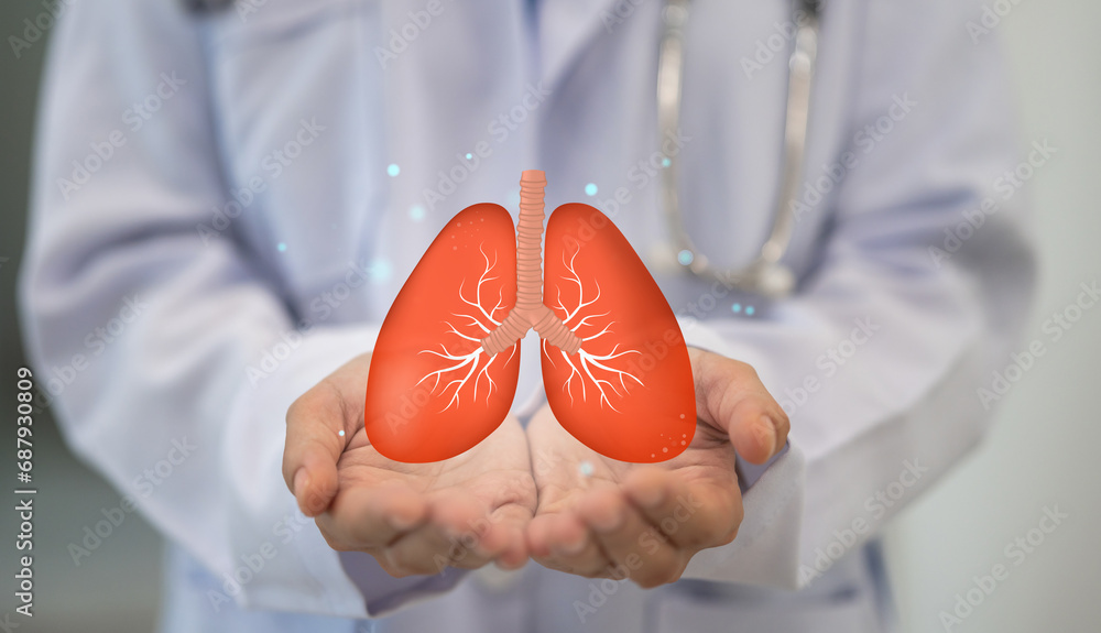 Doctor holding checkup care Lung health therapy, respiratory disease ...