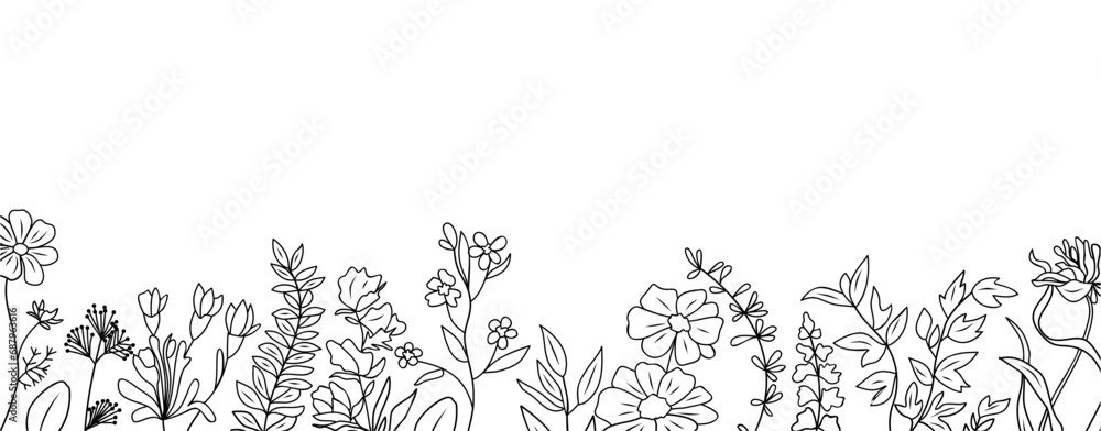 Wild blooming meadow flowers and herbs border. Horizontal banner ...