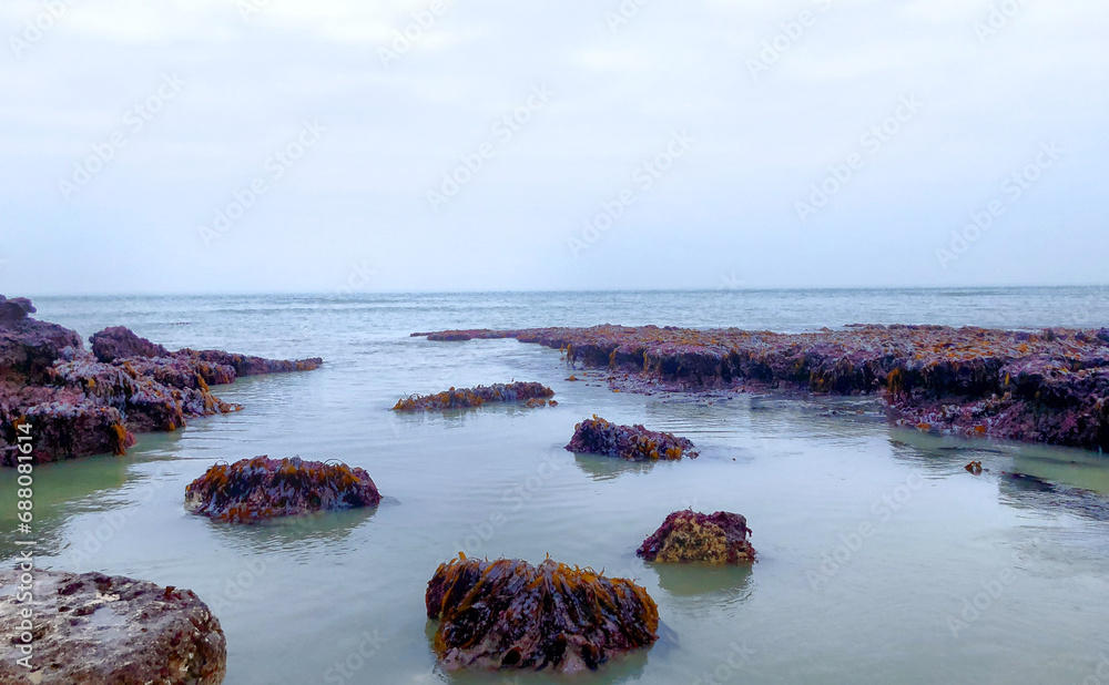 The image portrays the subtle beauty of tidal pools nestled among rocky ...