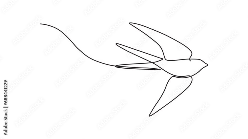 Continuous one-line animation video of a swallow in flight. Bird in ...