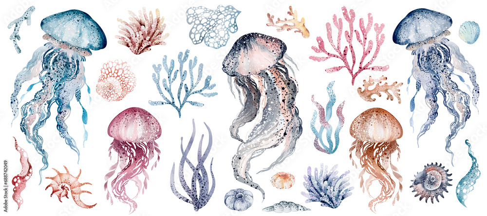 Underwater sea jellyfish on an isolated background. Watercolor set ...