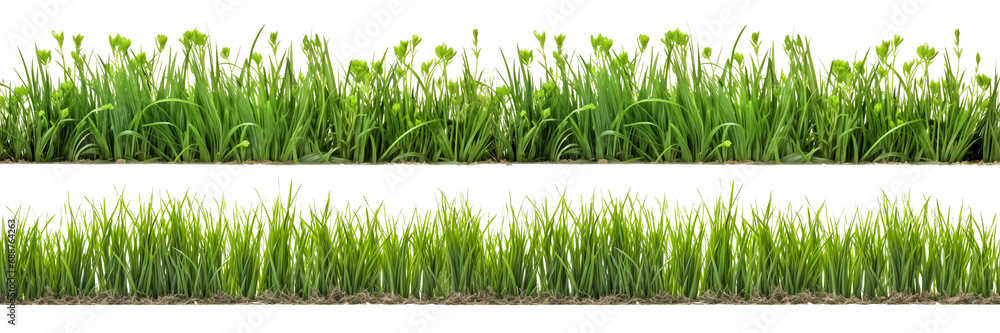 A set of long horizontal stripes of green grass cut out on a ...