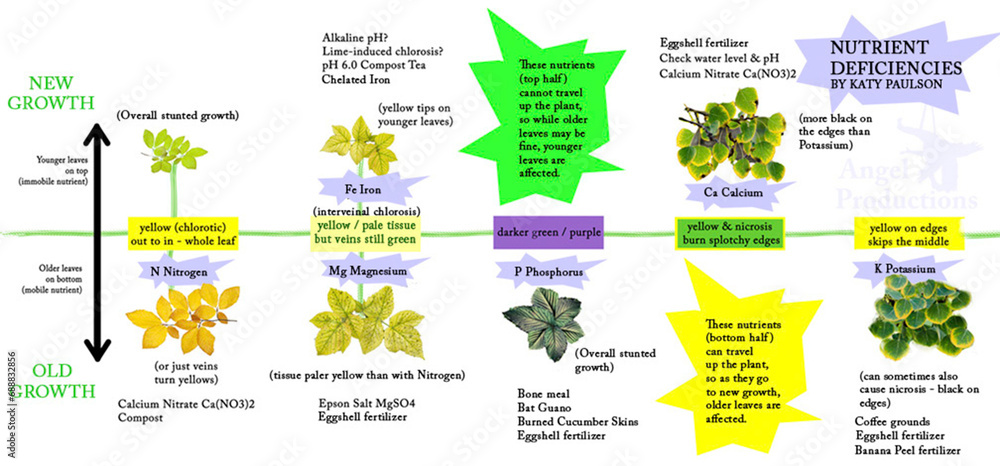 Poster plant nutrient deficiencies chart – Wall Art | UkPosters