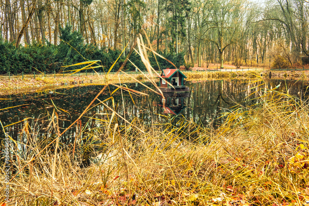 dom, dom, architektura, budowa, stary, dach, drewna, okienna, budowa ...