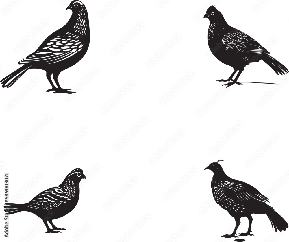 Set of quail Silhouette Vector Graphics on white background Stock ...