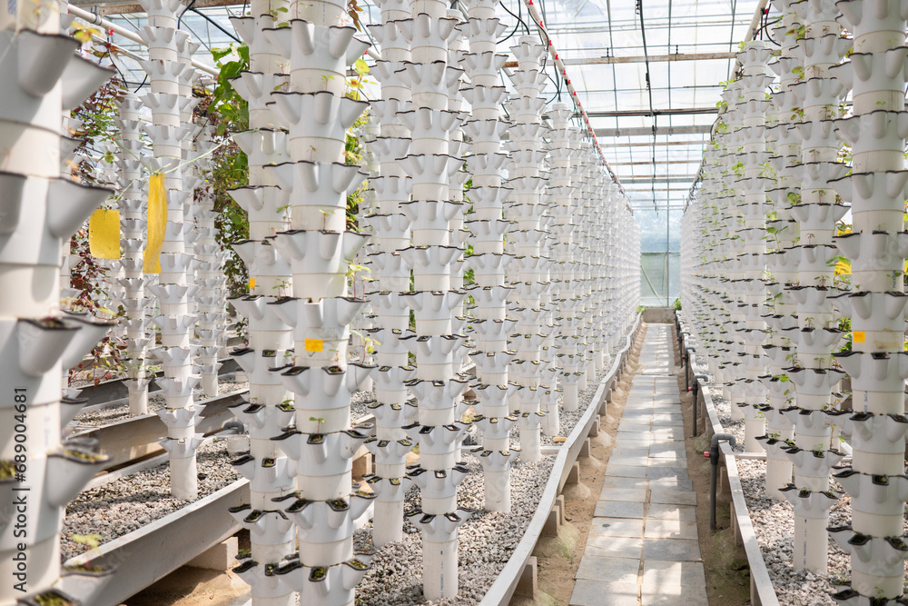 Sustainable Agriculture. Hydroponics based production method farm ...