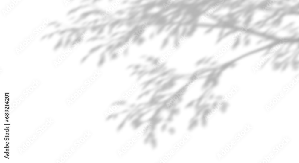 Blur shadow tree branches sun shade cut on transparent backgrounds 3d ...