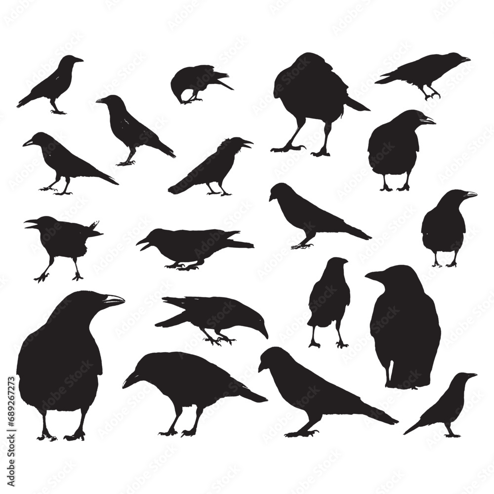 Raven and crow silhouette set design, Victor art illustration. Stock ...