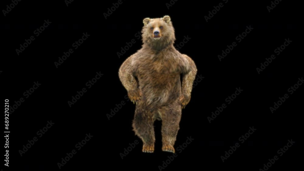 Bear Dancing CG fur 3d rendering animal realistic composition 3d ...