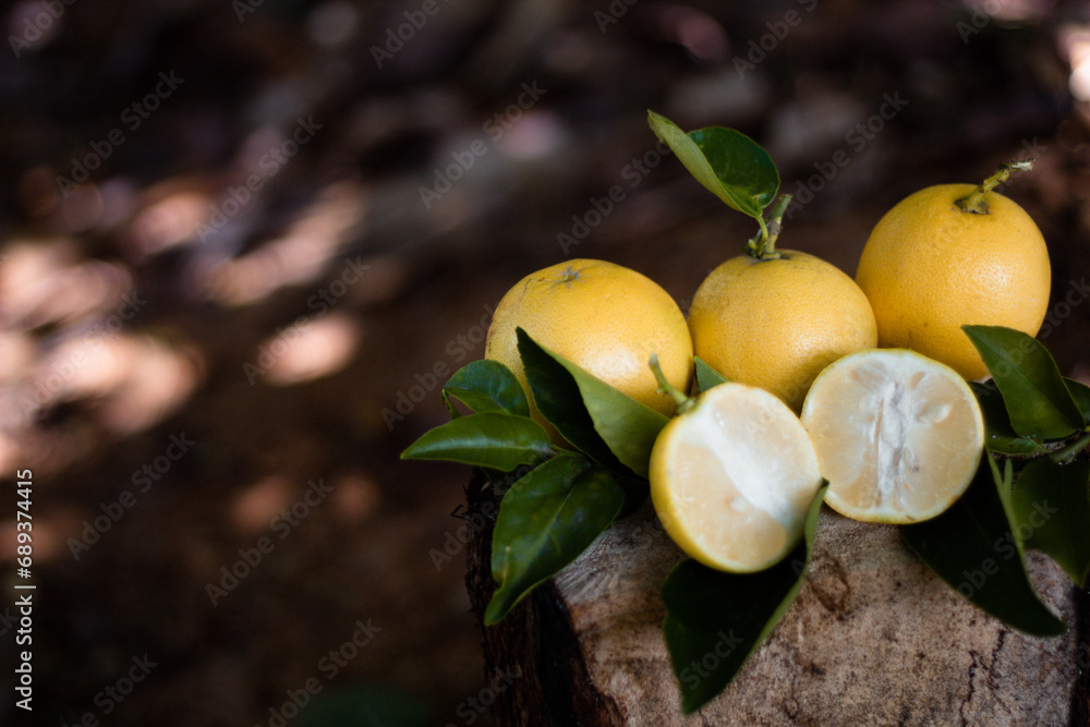 lima dulce maduro para comer fruto de los andes, delicioso, dieta ...