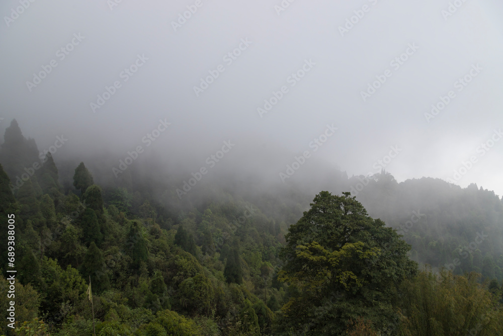 Majestic view of himalayan mountains, surrounded by dense green forests ...