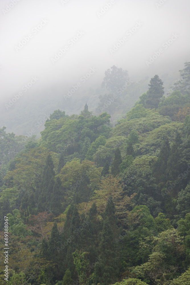 Majestic view of himalayan mountains, surrounded by dense green forests ...