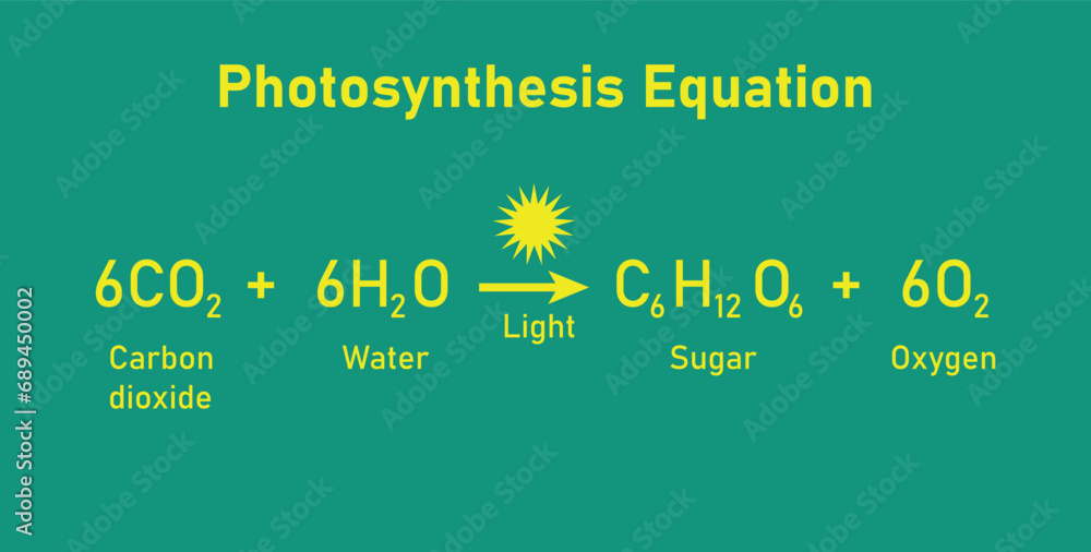 Photosynthesis equation. Carbon dioxide, water, sugars and oxygen ...