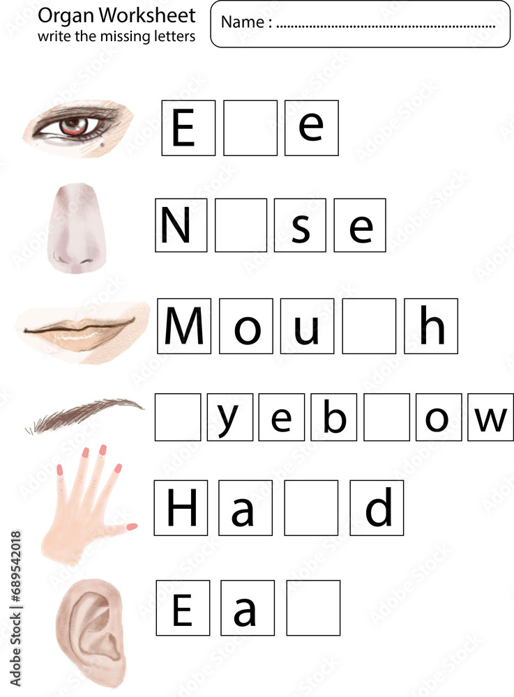 English word practice exercises for children to learn vocabulary about ...