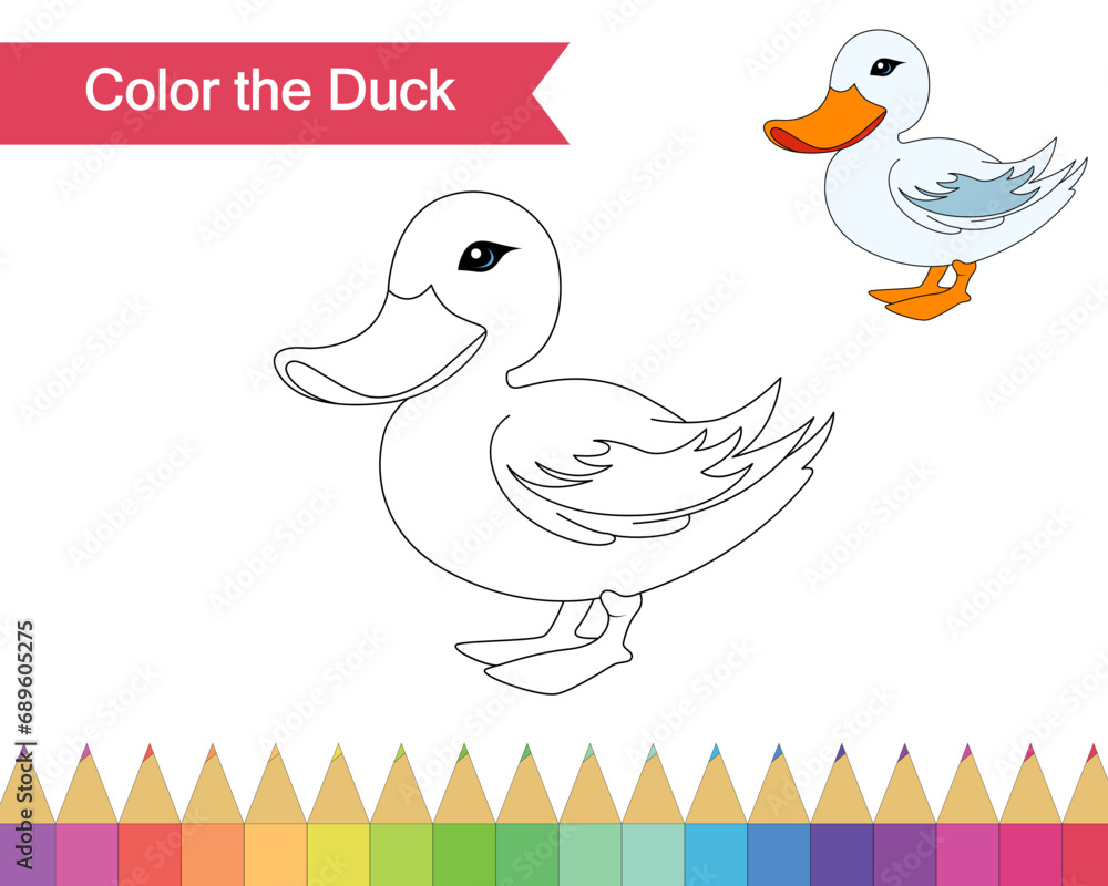 Coloring page for duck vector illustration. Kindergarten children ...