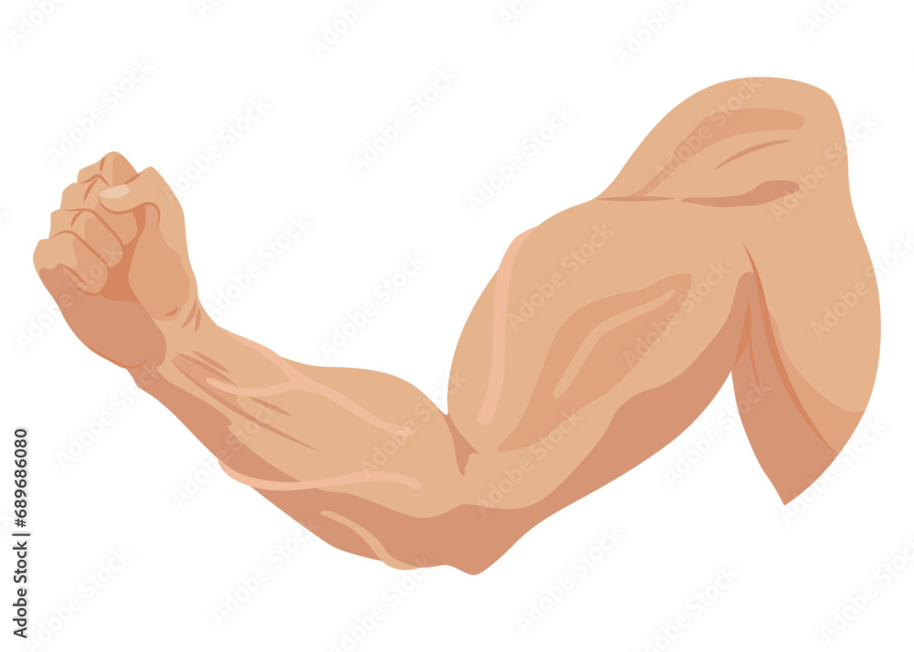 Male biceps muscles icons set. Sportsman arm with strong biceps. Vector ...