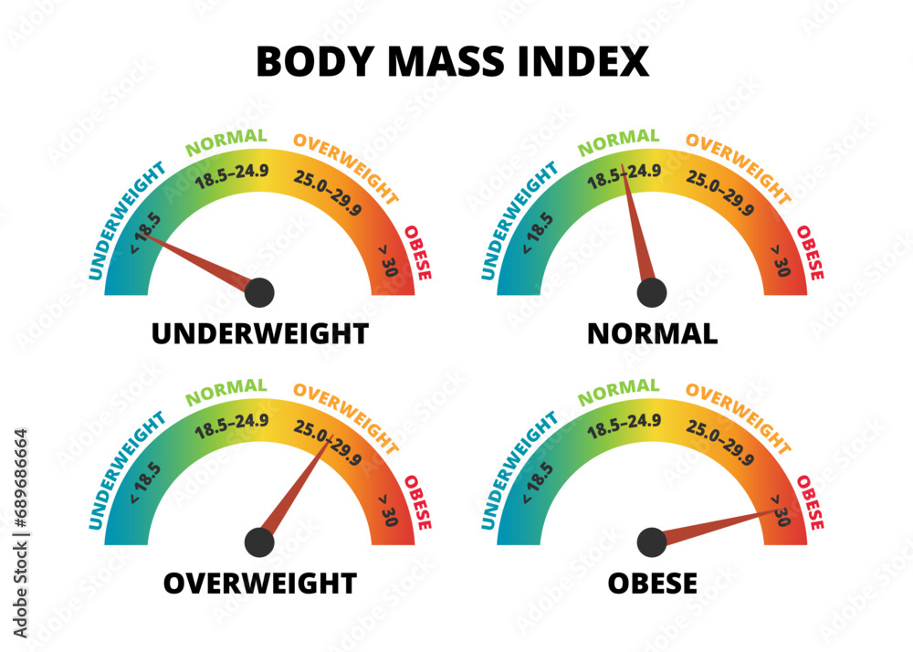 Vector infographic set of body mass index – BMI calculator isolated on ...