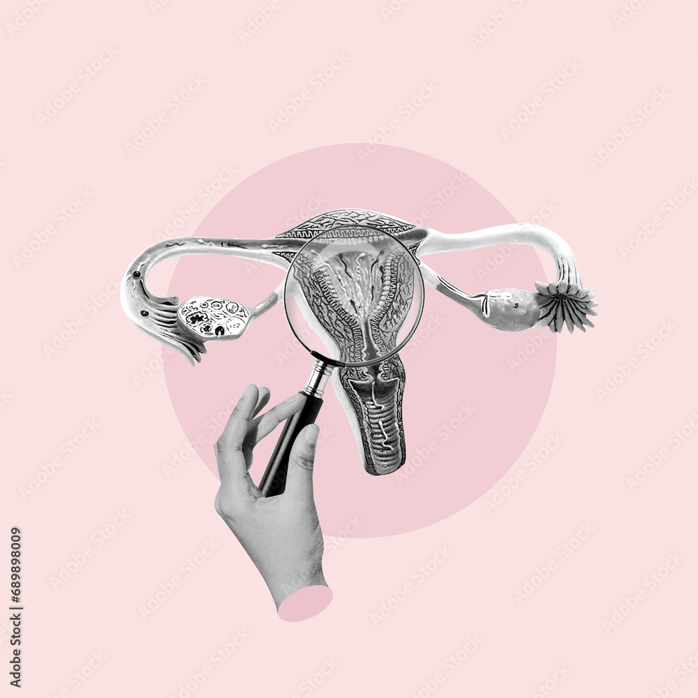 Female menstrual cycle, menstrual cycle monitoring, magnifying glass in ...