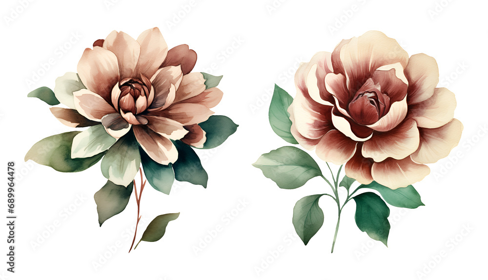 Flowers, watercolor clipart illustration with isolated background ...