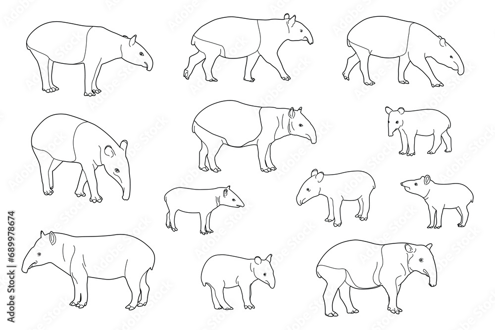 Line art Tapir, Tapir vector set, Tapir animal bundle. Image For ...