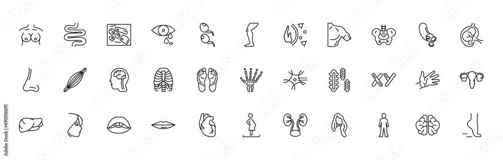 outline icons set from human body parts concept. editable vector such ...