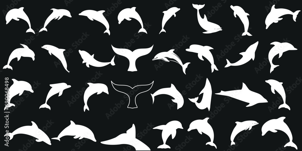 Dolphin vector illustration, Depicting marine life, ocean, sea ...