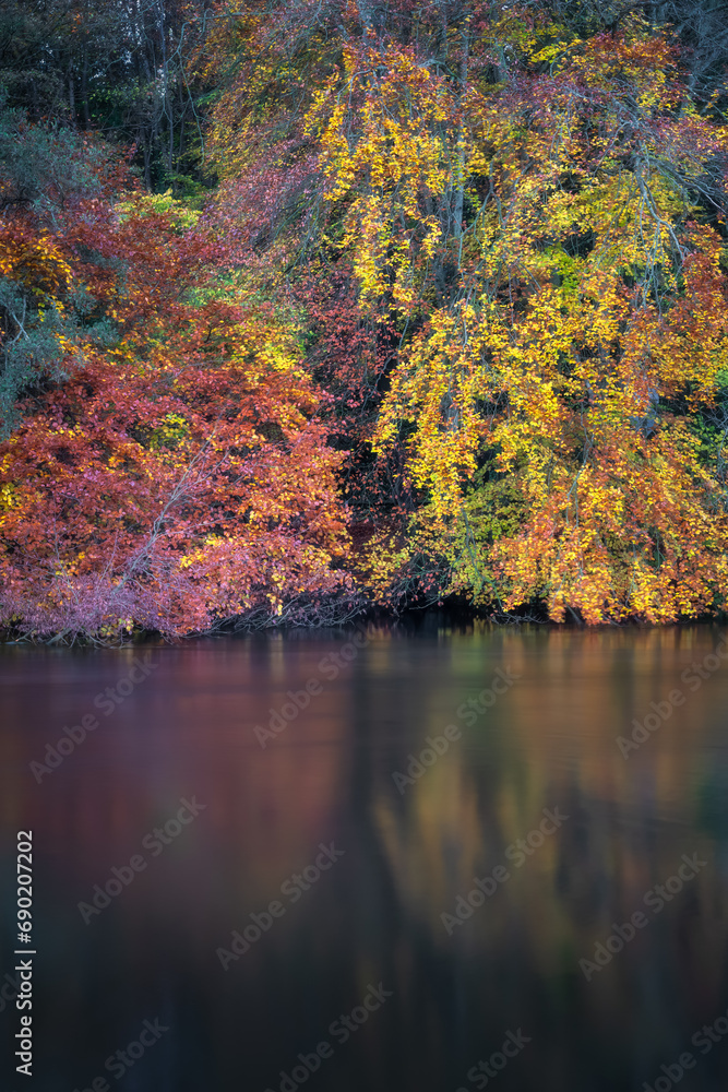 Beautiful trees and forest in vibrant autumn colours reflected in ...