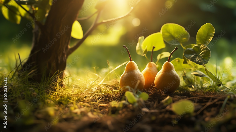 Autumn fruits fell to the ground. There is something incredibly ...