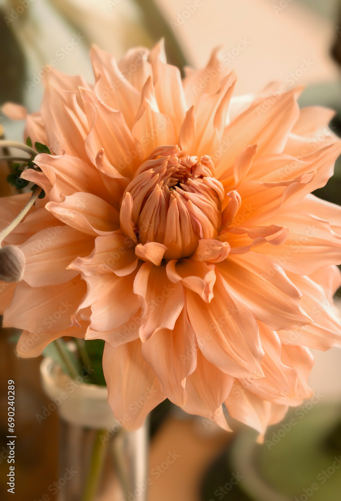 Trendy color of year 2024 - Peach Fuzz. Trendy color palette sample ...