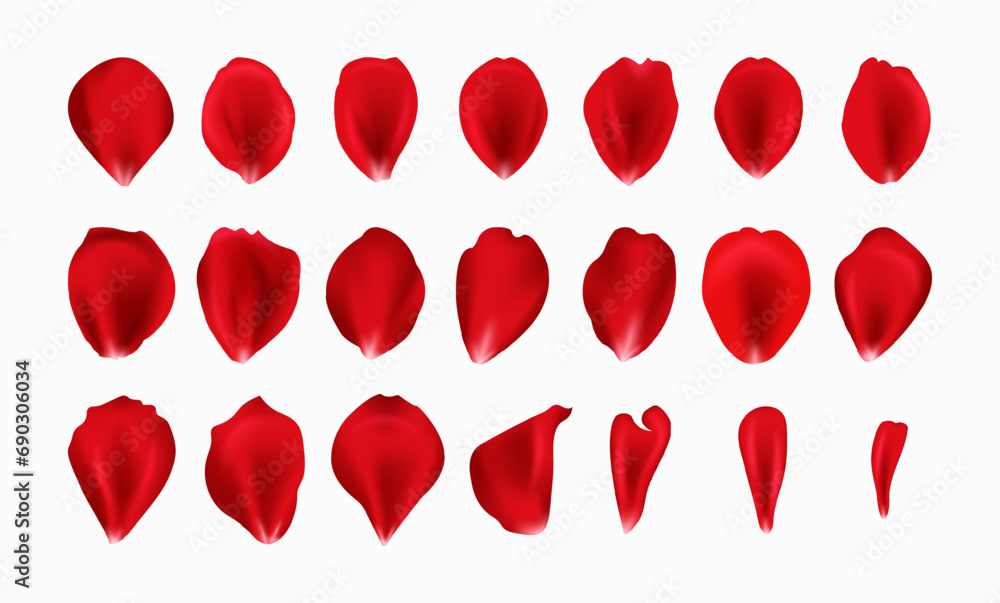 Realistic vector elements set of rose petals. Rose petals. Flowers ...