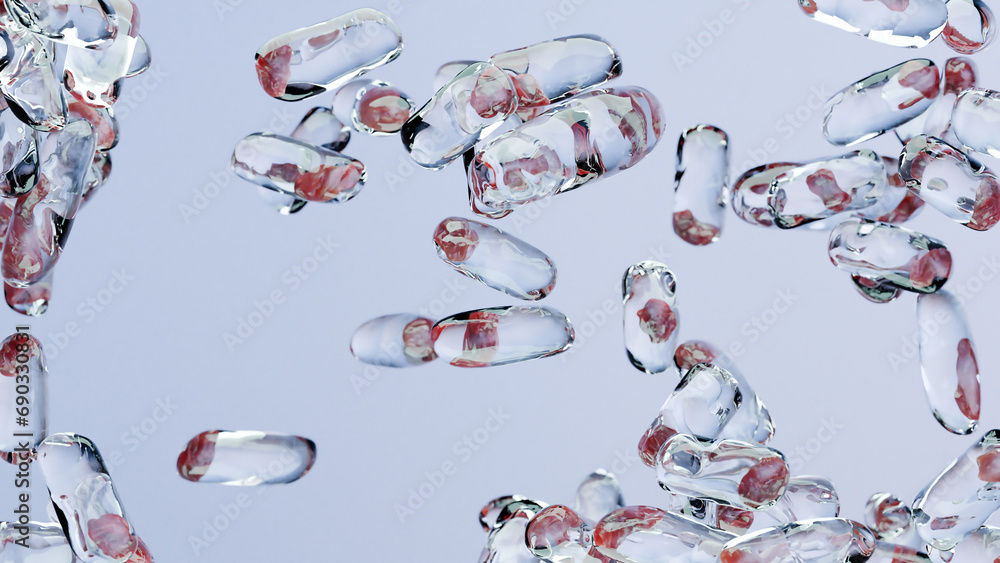 bacteria. Gut microbiome, intestinal digestion and the immune system ...