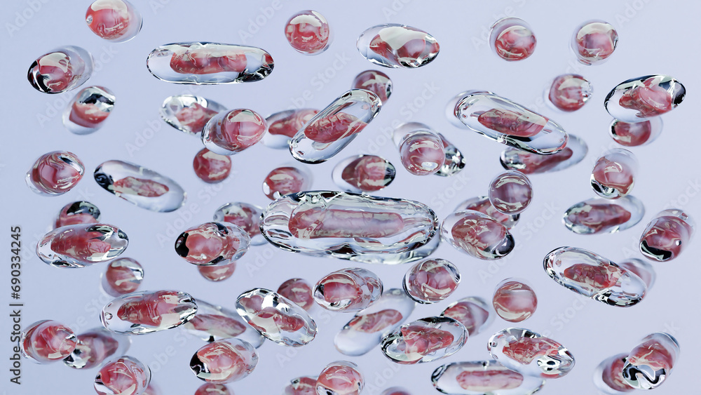 bacteria. Gut microbiome, intestinal digestion and the immune system ...