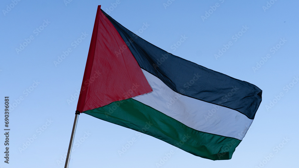 waving the Palestinian flag as a gesture of solidarity during a protest ...