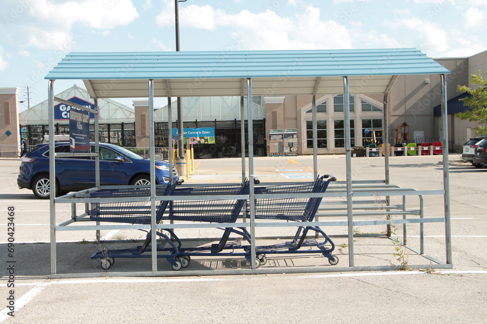 three blue shopping grocery carts outside outdoors in summer loosely ...