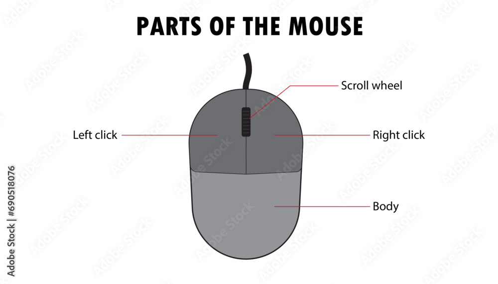 Parts of the mouse, pointing device Stock Vector | Adobe Stock