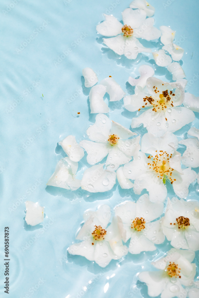 Beautiful images of flowers on water, flowers and water wallpapers ...