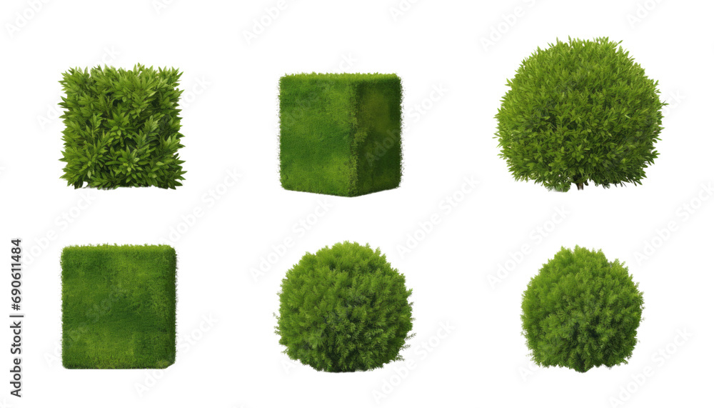 shape green bush isolated on transparent background cutout Stock ...