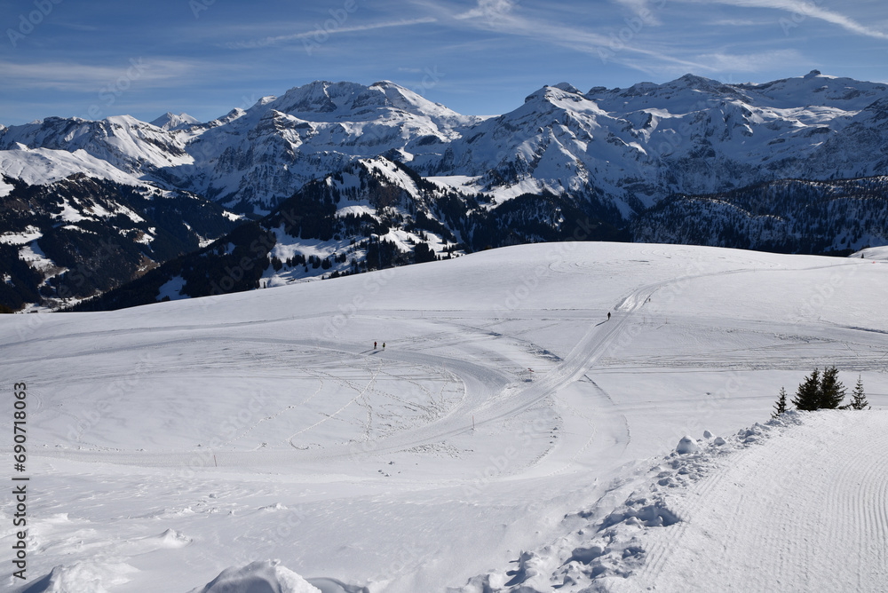 Pistes et pic enneigés de l'Oberland bernois à Lenk. Suisse Stock-Foto ...