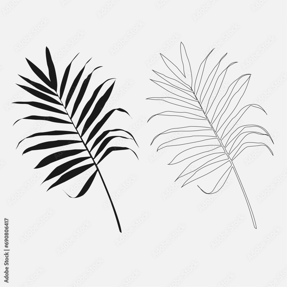 fern, palm tree, fern vector, palmra vector, fern illustration, fern ...