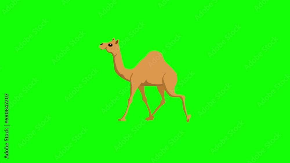 Yellow color camel running animation on green screen 2d animation ...