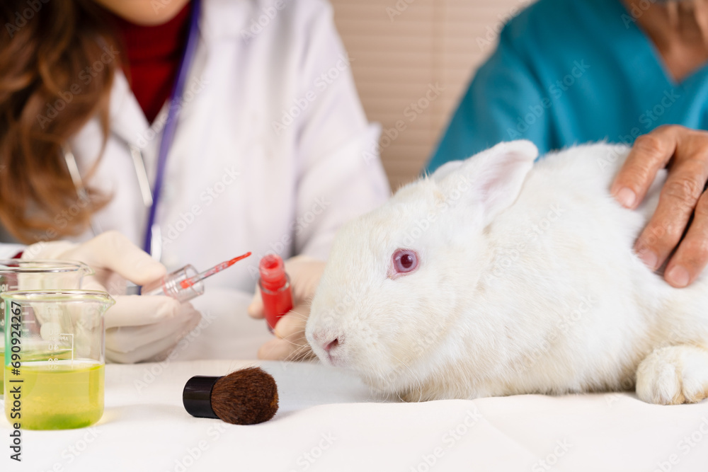 white rabbit is scary due to scientist doctor brushing chemical ...