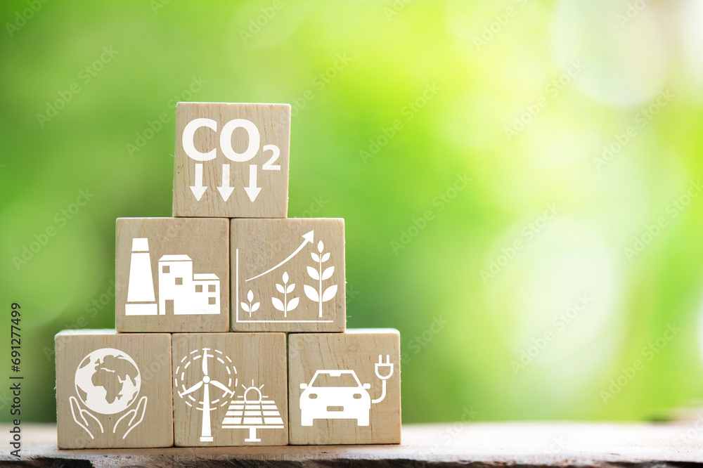 Reducing carbon dioxide, planting more trees and using electric trains ...