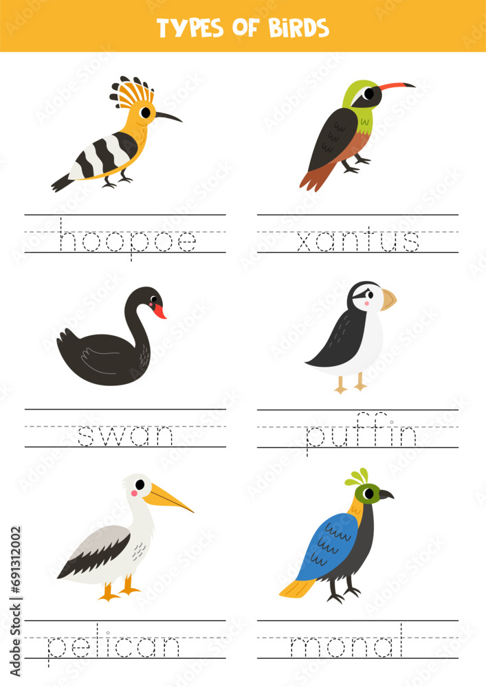 Tracing names of birds types. Writing practice. Stock Vector | Adobe Stock